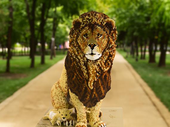 СУККОТ 2024! BRICKS & ANIMALS Супер приключение для всей семьи на осенних каникулах! | Womfire